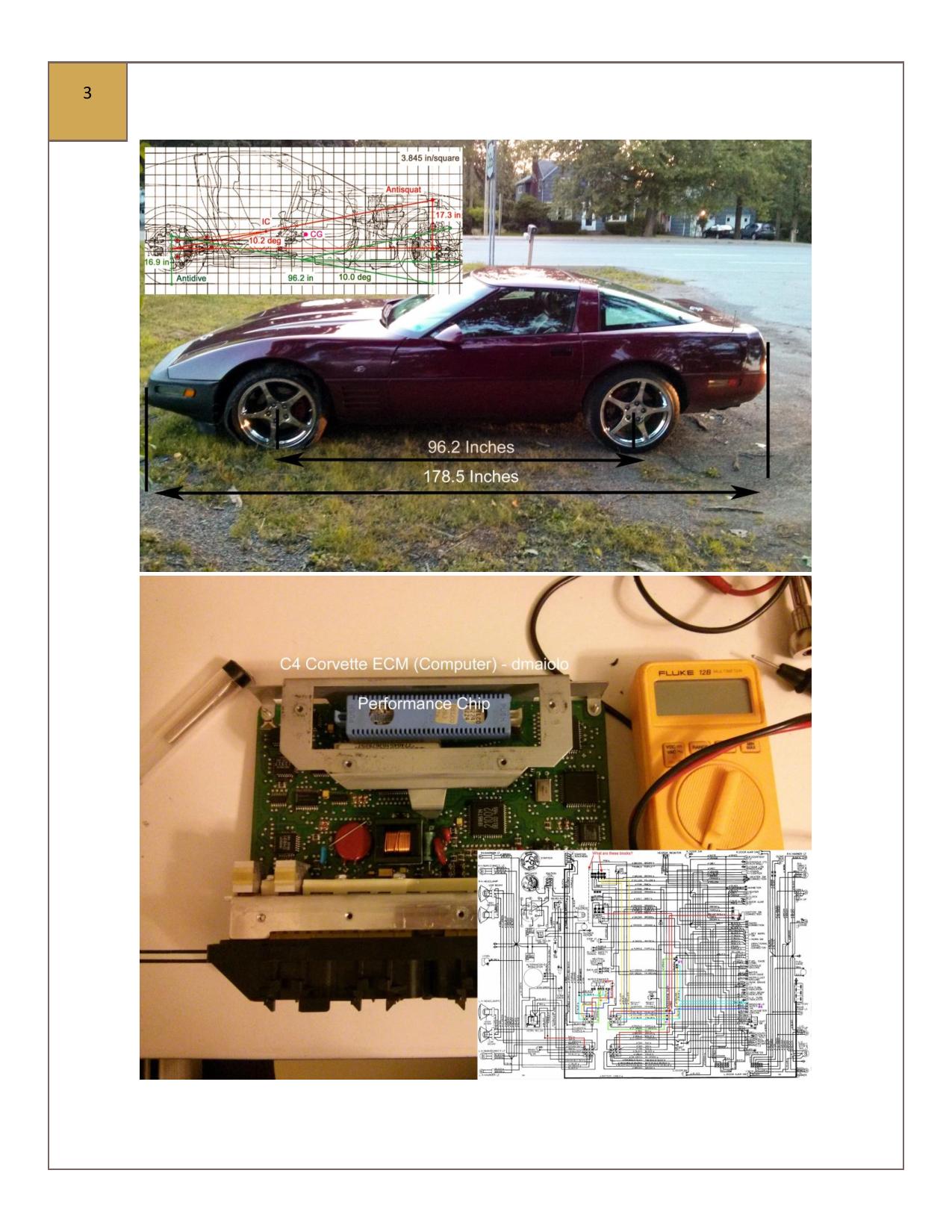 Australia - David Maiolo