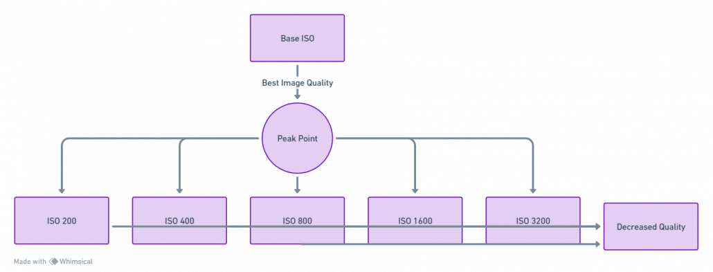 Introduction to ISO in Photography - David Maiolo