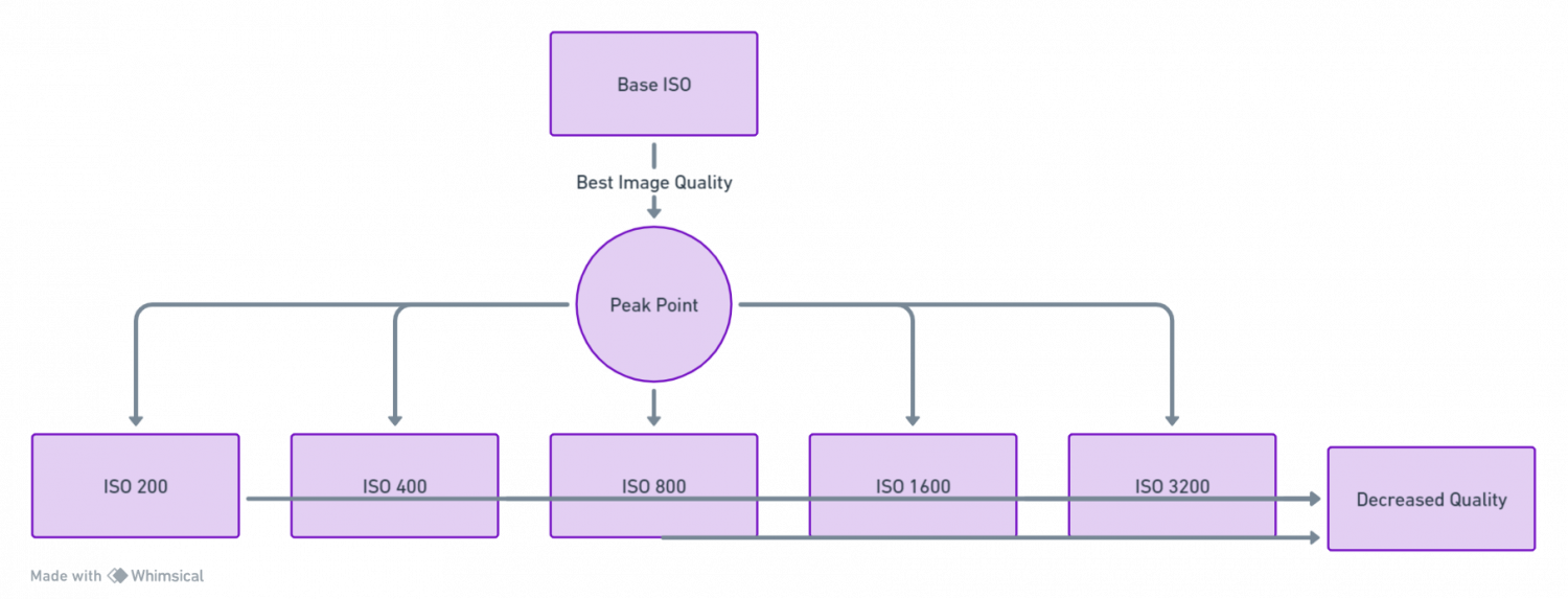 Introduction to ISO in Photography - David Maiolo