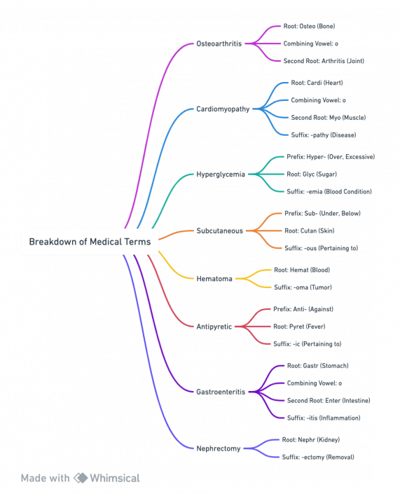 Speak Like a Doctor: How Medical Words Work - David Maiolo
