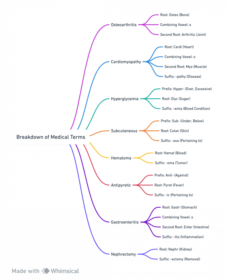 Speak Like a Doctor: How Medical Words Work - David Maiolo